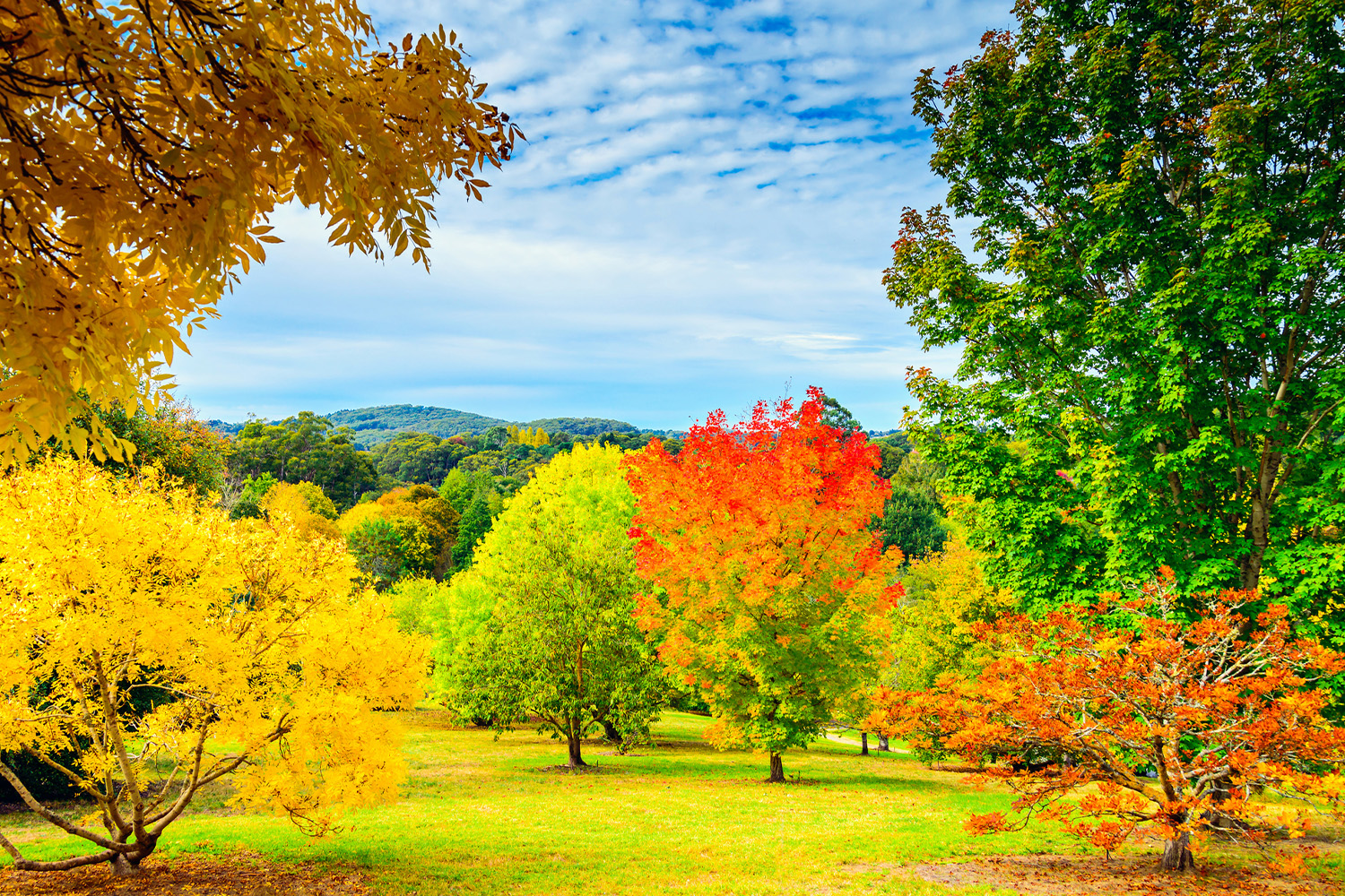 Adelaide Hills – Book your next Adelaide Hills holiday – RAA Travel