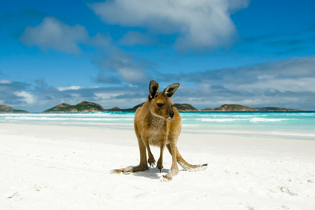 Australia holidays – Book your next Australian getaway | RAA Travel