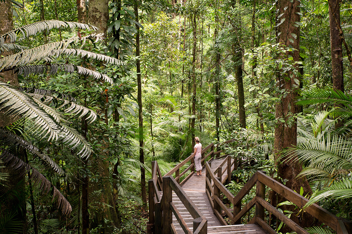 Travel to Tropical North Queensland | RAA Travel