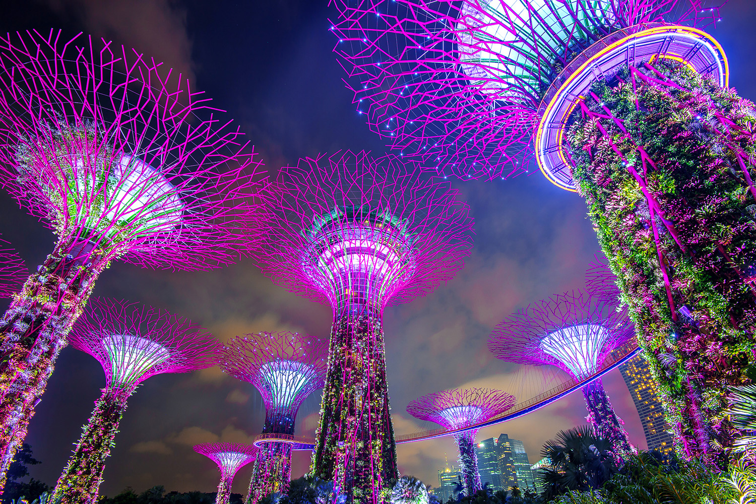 Singapore – Plan and book your holiday – RAA Travel
